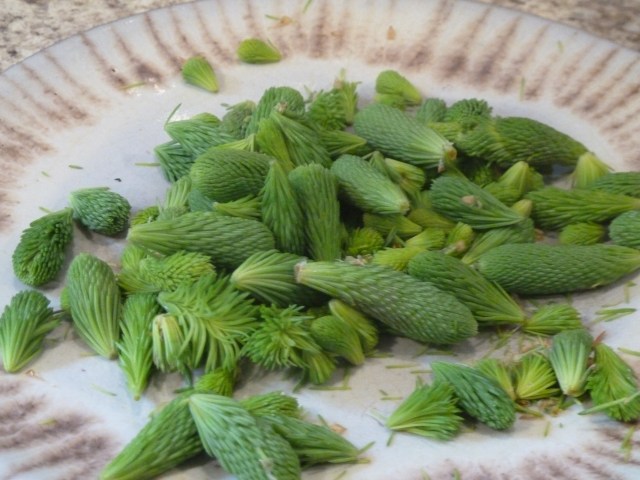 Spruce Tip Poundcake | My Edible Backyard