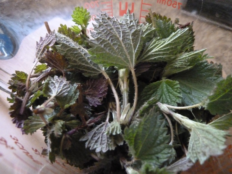 Stinging Nettle Pancakes | My Edible Backyard